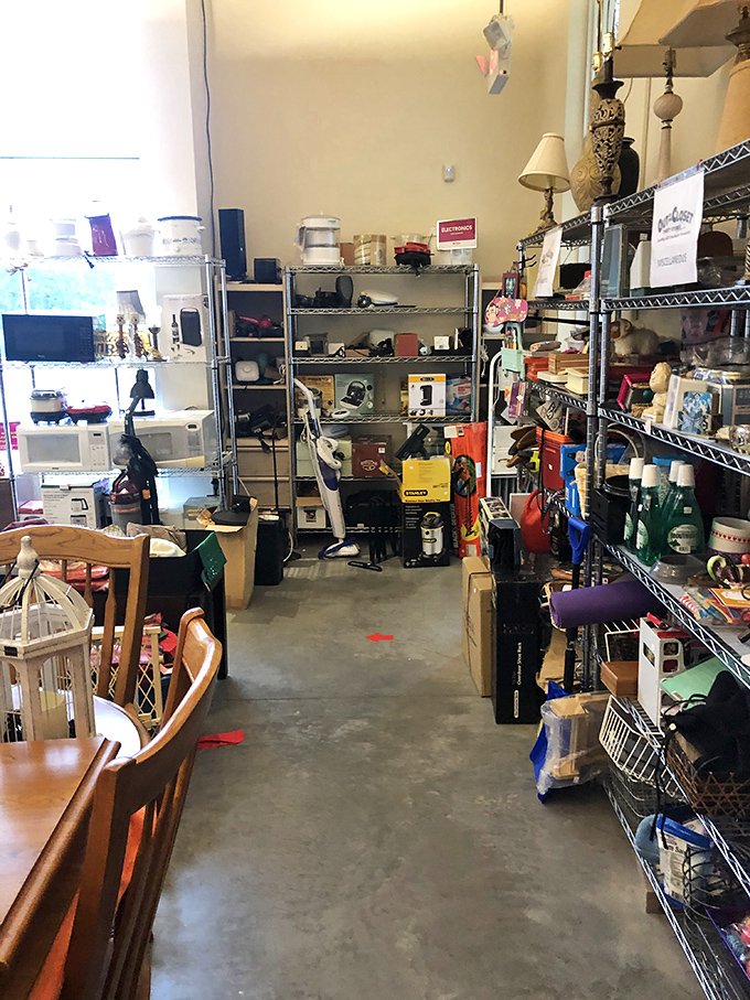 A wonderland of miscellaneous treasures where that thing you didn't know you needed suddenly becomes absolutely essential.