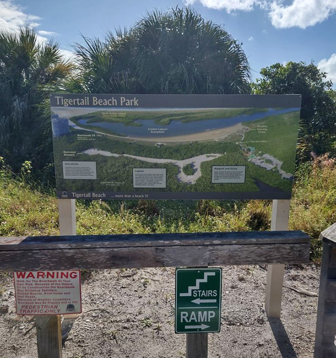 The map that separates the tourists from the explorers. Consider this your treasure hunt blueprint to Tigertail's hidden gems.