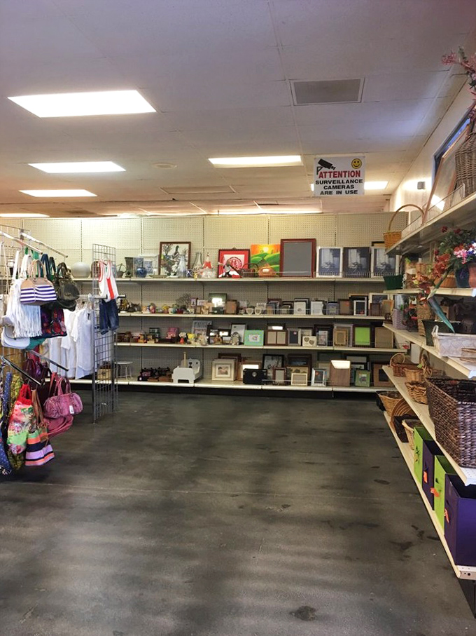 Every aisle tells a different story, from picture frames to knickknacks, creating the ultimate scavenger hunt for the patient shopper.