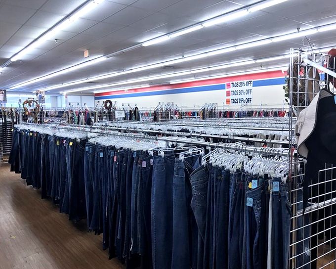 Denim for days! More jeans than a 1980s Springsteen concert, all waiting for their "Born to Run" moment in your wardrobe.