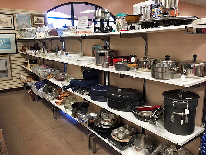 Cast iron skillets and copper pots stand at attention, veterans of countless family dinners waiting for their next culinary adventure.
