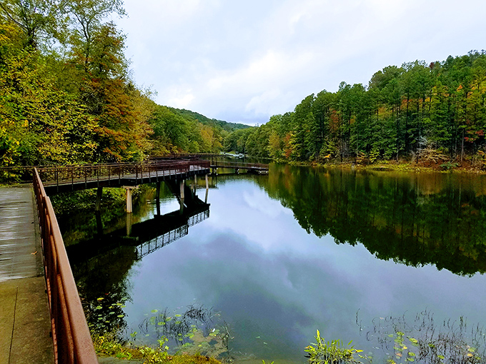 Fall reflections double the color show at this serene boardwalk. Like watching autumn on IMAX, but with better seating and no overpriced popcorn.