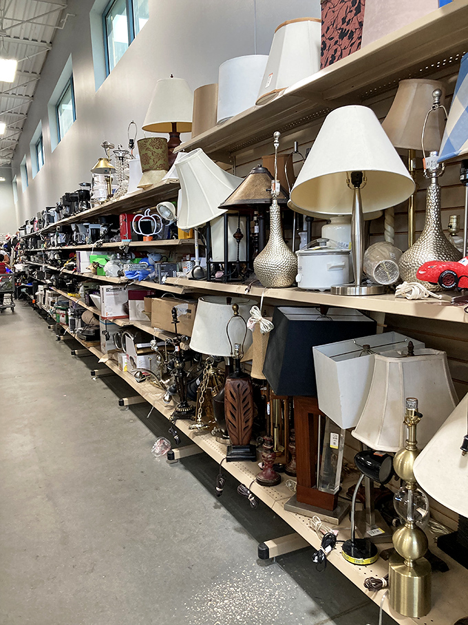 Lamp row: where lighting fixtures enjoy their second act. That perfect mid-century piece is hiding here, waiting to transform your living room.