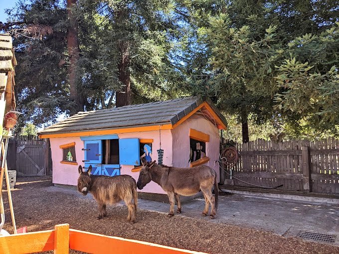 These miniature donkeys offer city kids a chance to meet animals they've only seen in picture books or as animated sidekicks.