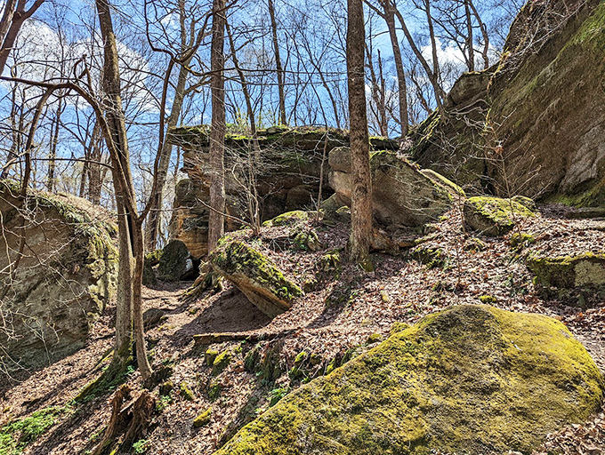 Early spring reveals the park's skeletal beauty, where moss-covered boulders wait patiently for summer visitors like grandparents expecting company.