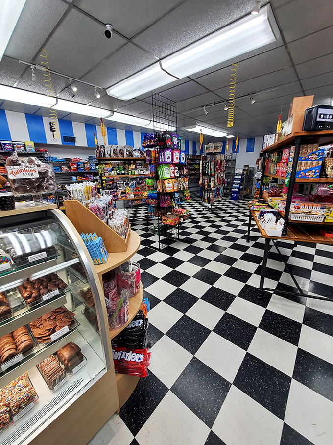 The blue and white striped walls frame a wonderland where adults suddenly remember what it's like to be eight years old.