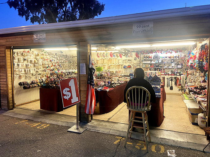 The "99 cent Everything" stall is the stuff of budget dreams. Like a dollar store that took an additional markdown just for the thrill of it.