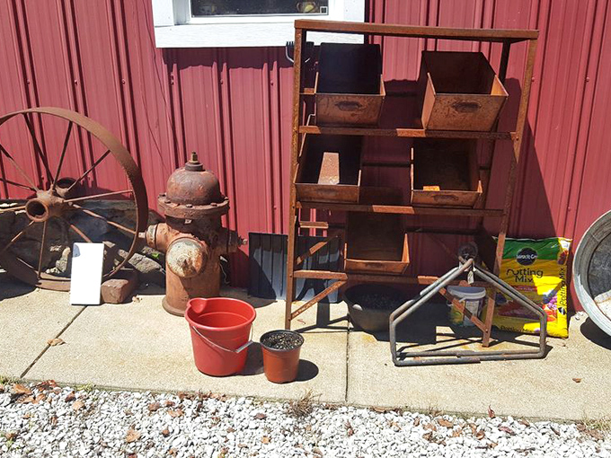 Even the outdoor displays tell stories. That rusty fire hydrant probably witnessed more neighborhood drama than any reality TV show ever could. 
