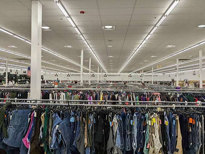 The denim section alone could outfit a small country. Find your perfect pair without the fitting room trauma of mall shopping.
