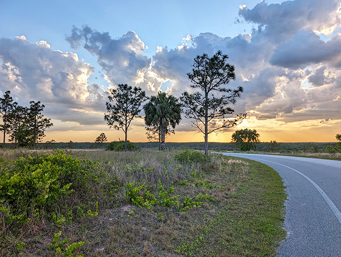 Golden hour transforms ordinary roads into pathways to paradise. Even the park's simple driving routes deliver frame-worthy moments.