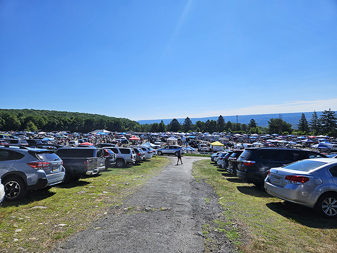 The Sunday flea market draws treasure hunters from across the region, turning the movie venue into a community gathering place.
