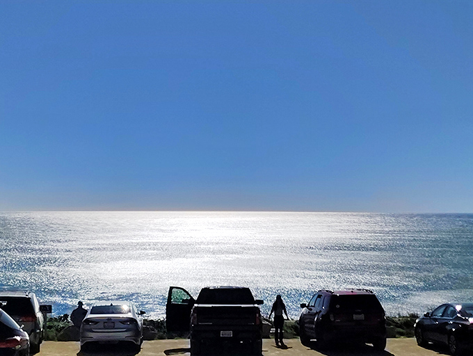 The parking lot view that makes you forget you just spent 20 minutes hunting for a space. Worth every circled minute.