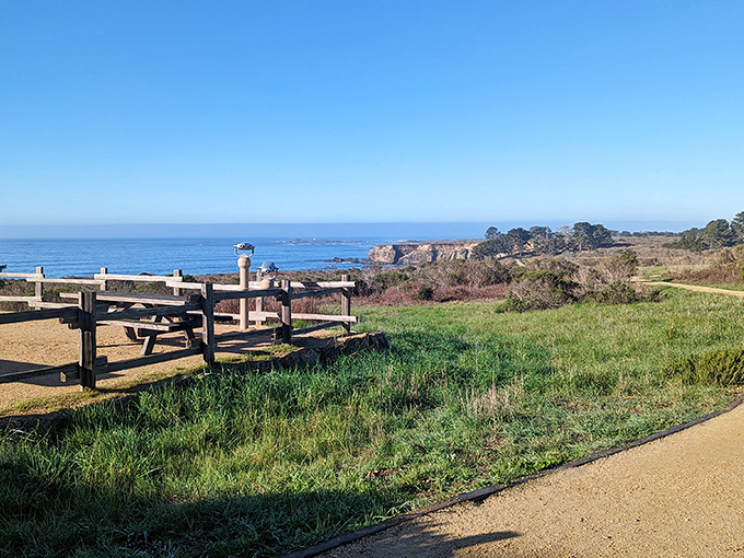 A pathway that promises adventure with every step, leading visitors through coastal prairie to ocean vistas beyond.
