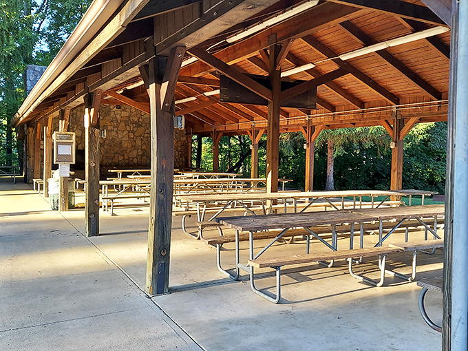 Picnic tables that have hosted more genuine family conversations than any dining room table ever could. No phones, just folks.
