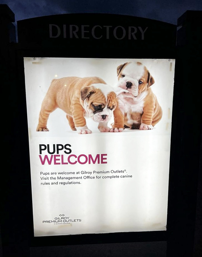 Even four-legged fashionistas are welcome here. Bring your discerning doggo to sniff out the best deals alongside you.