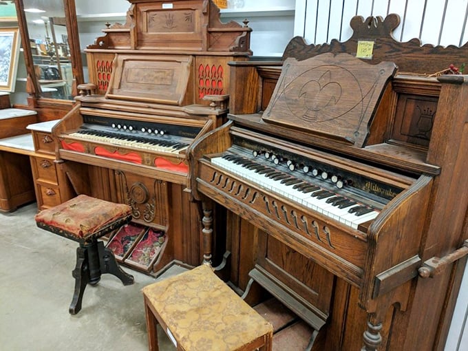 These antique pump organs aren't just furniture; they're time capsules of parlor gatherings before television stole our collective attention.
