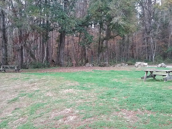 Picnic tables with million-dollar views. No reservations required at this outdoor dining spot where the ambiance outshines any five-star restaurant.