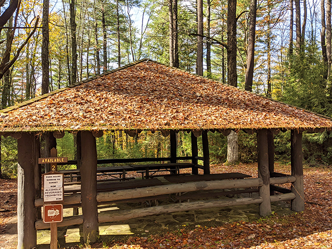 Your perfect lunch spot comes with a million-dollar view and zero reservation requirements &ndash; take that, fancy restaurants!