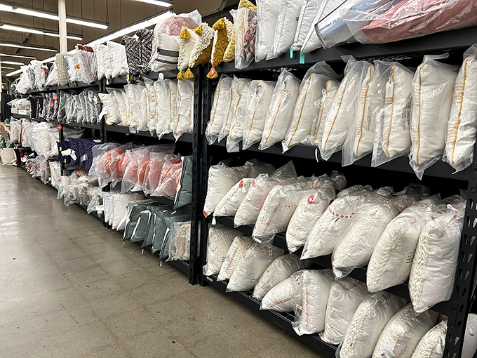Pillow paradise! These fluffy comfort clouds await their forever homes at prices that won't keep you up at night. Sweet dreams don't have to come with nightmare prices.