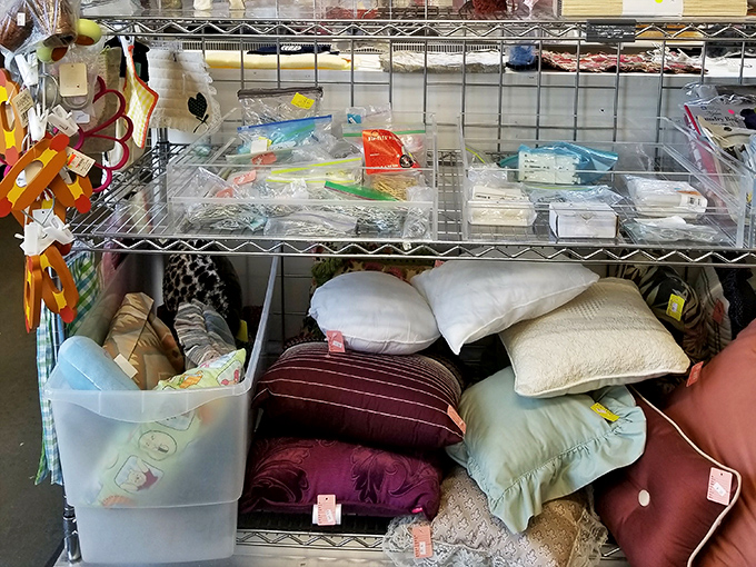 The pillow section: where comfort meets questionable patterns. That burgundy cushion might clash with everything you own, yet somehow it's calling your name.