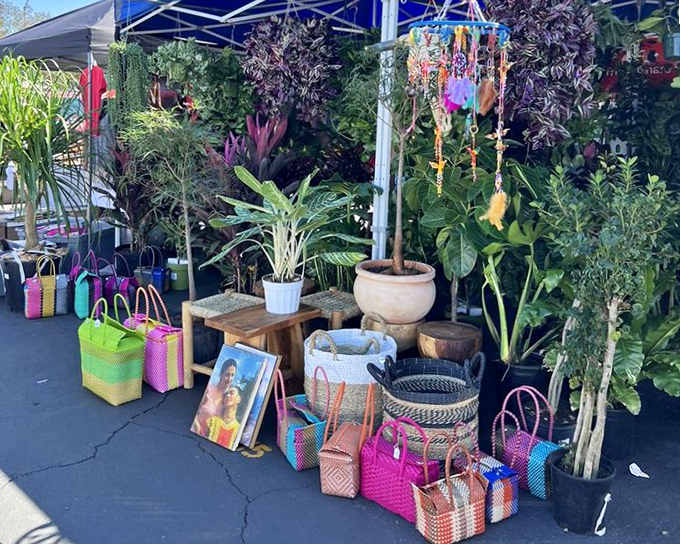 A jungle of houseplants and colorful handwoven baskets creates an oasis of color amid the market's asphalt landscape. 