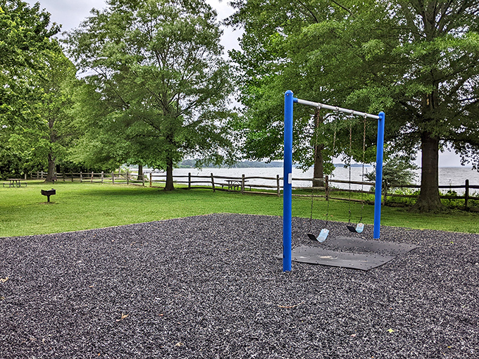 Childhood physics lessons come alive on these swings, where the simple joy of defying gravity never gets old, regardless of your age.