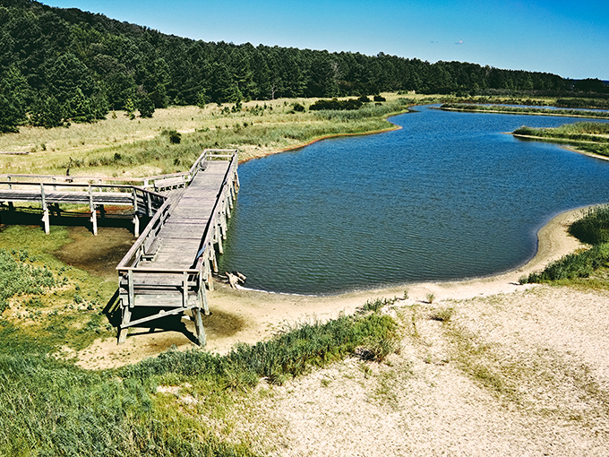 Forget infinity pools&mdash;this natural pond with its weathered boardwalk offers serenity you can't design, only discover.