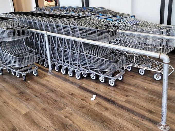 An army of shopping carts stands at attention, ready for duty. These metal chariots will soon overflow with unexpected treasures.