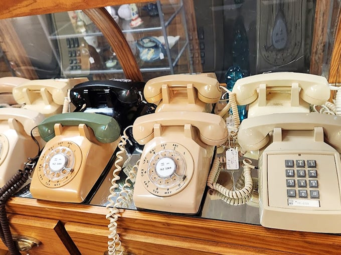 Before smartphones ruled our lives, these rotary relics connected us. Each one represents thousands of "Hello, darlings" from decades past.