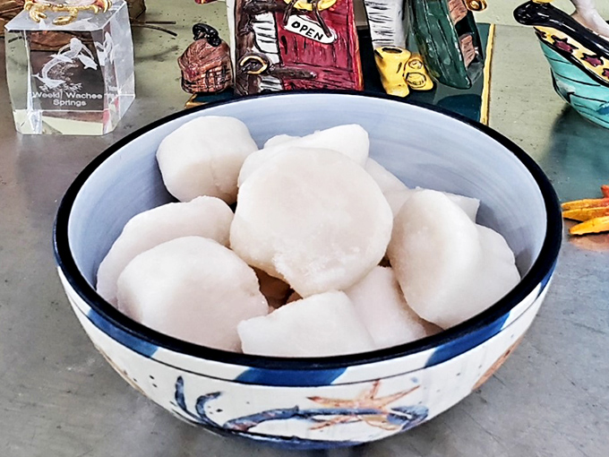 Gulf scallops so fresh, they practically introduce themselves before hitting your plate with buttery perfection.