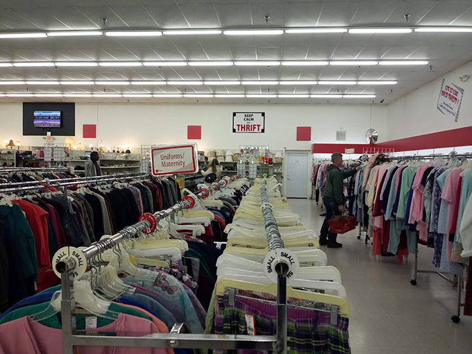 Treasure hunters navigate the well-organized wilderness of possibilities. The thrill of the hunt is written on their focused expressions.