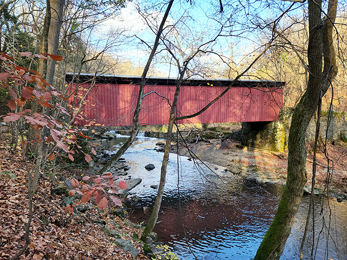 The red bridge of sighs: Autumn leaves complement the bridge's vibrant color, creating a scene worthy of the most ambitious jigsaw puzzle.