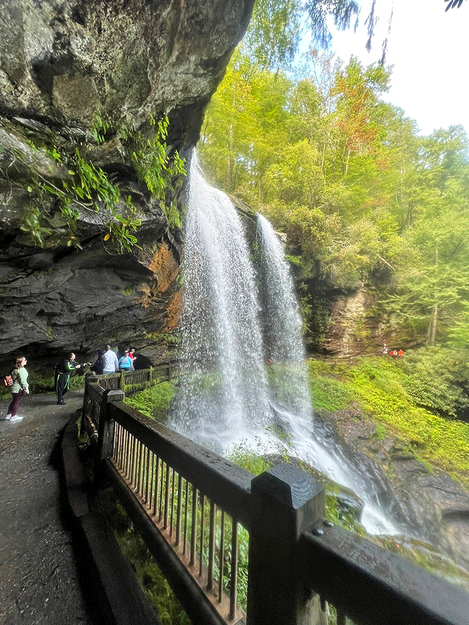 The perfect side profile shot that captures why photographers consider this waterfall their favorite mountain model.