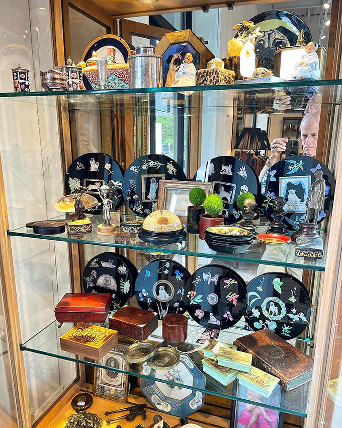 A glass cabinet of curiosities where each shelf tells a different story—from decorative plates to tiny treasures waiting for new homes.