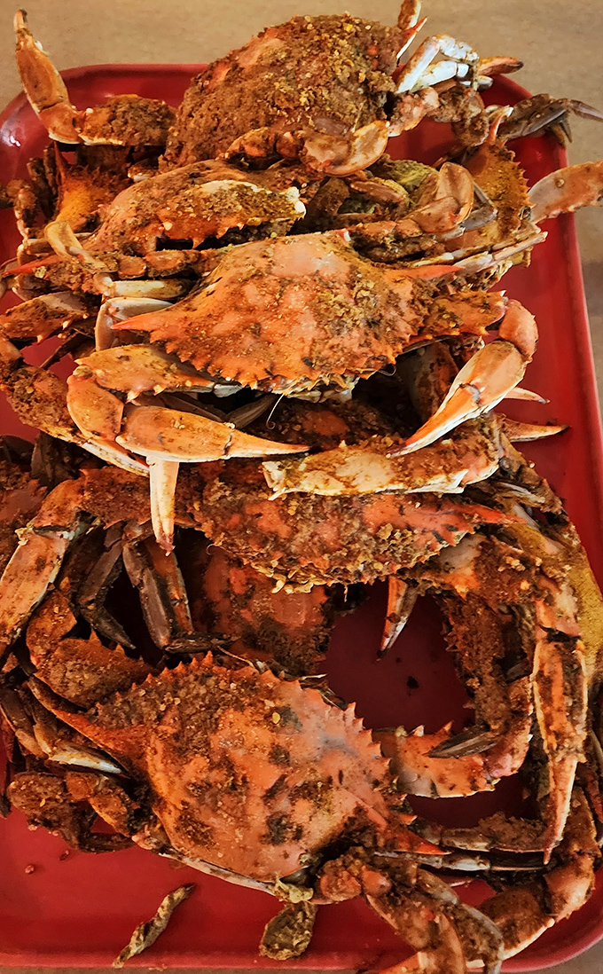 A mountain of steamed blue crabs—nature's puzzle boxes filled with sweet meat that makes the effort of extraction entirely worthwhile.