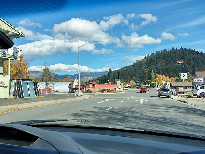That golden hour light hitting Quincy's streets makes even a simple drive feel like you're starring in your own indie film about finding yourself.