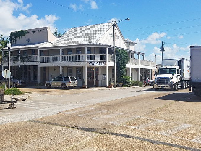 The Owl Caf&eacute; anchors a corner of Apalachicola history, serving up seafood classics in a building that's witnessed generations of hungry visitors.