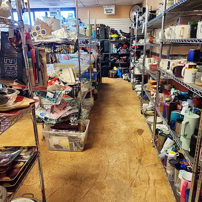 Aisle upon aisle of household items stand ready for discovery. The thrill of the hunt is half the fun in this organized chaos.