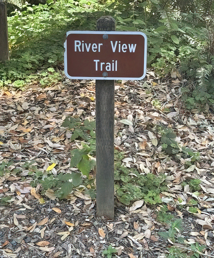 Signs that point to adventure. The Riverview Trail doesn't just promise views&mdash;it delivers them in spectacular high definition.