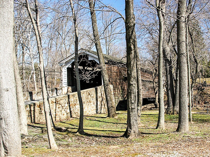 Even the trees lean in closer, like they're trying to eavesdrop on bridge conversations.