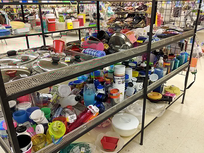 Kitchen gadget nirvana where your twenty bucks might score enough cooking gear to outfit a food truck. Julia Child started somewhere, right?