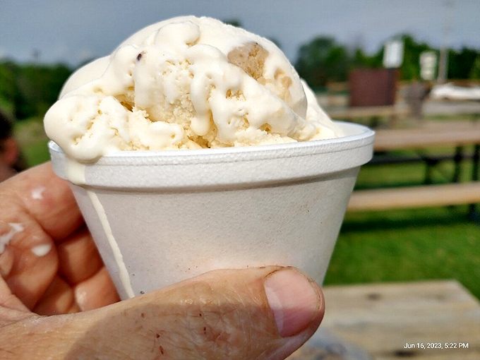 Vanilla that's anything but&mdash;this scoop proves that sometimes the classics deserve their status for a reason. Simple perfection in a cup.