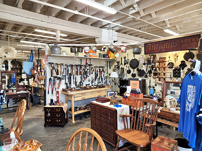 A delightful jumble where Victorian elegance meets mid-century modern, and somehow they get along perfectly.