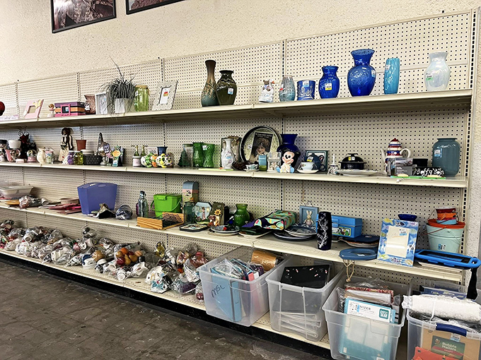The glassware section gleams under fluorescent lights, each vase and figurine patiently waiting to become someone's "I can't believe I found this!" story.