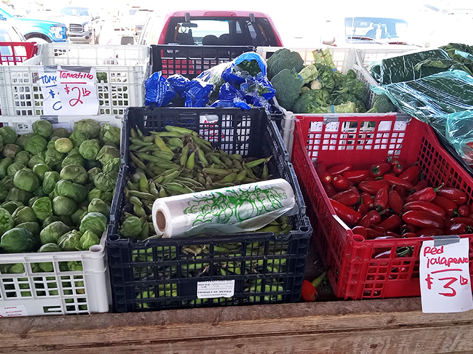 Garden-fresh vegetables stacked in rainbow-hued crates. Those jalape&ntilde;os at $3 a pound might just be the secret ingredient your chili recipe needs.