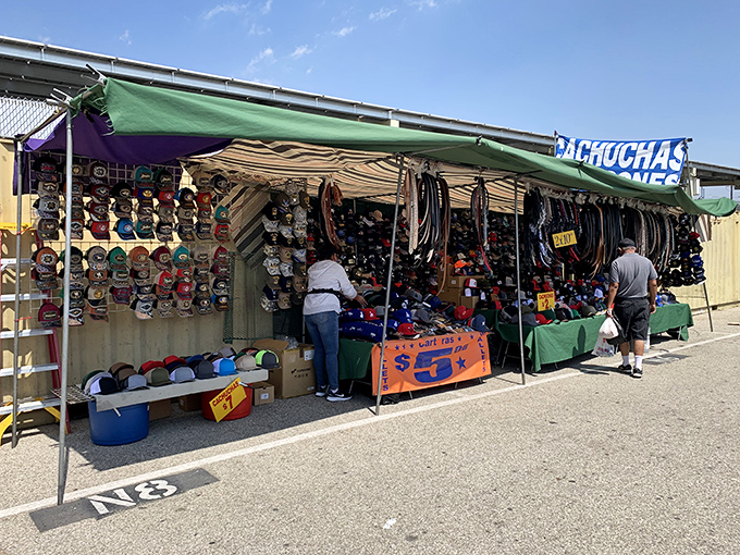 Seasoned vendors share stories and smiles, turning simple transactions into memorable conversations with new friends.