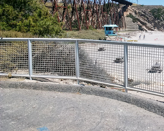 That moment when you realize the safety railing is also the perfect frame for watching waves crash against the shore below.