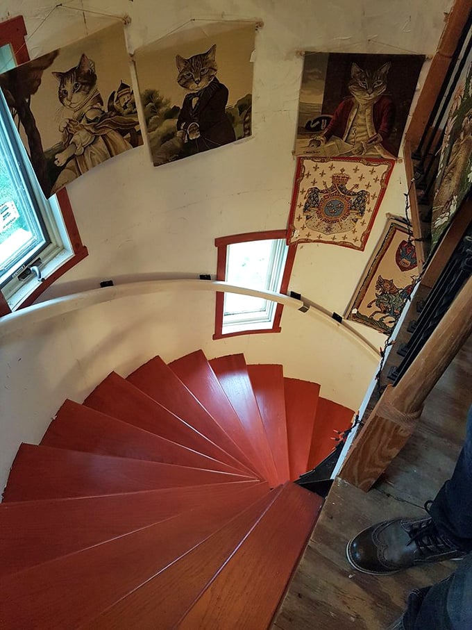 The spiral staircase isn't just architecturally stunning&mdash;it's adorned with whimsical portraits of aristocratic felines who seem to judge your ascent.