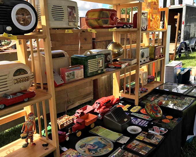 Nostalgia on shelves! Vintage radios, toy trucks, and collectibles create a time-travel experience where every item whispers stories from decades past.