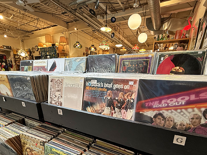Vinyl's not dead; it's just been hiding here with thousands of its closest friends since 1973.